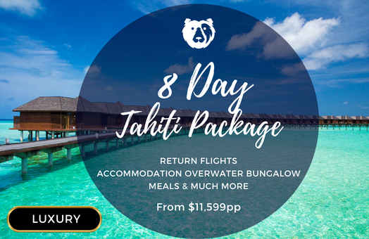 Barrow & Bear Travel + Coffee